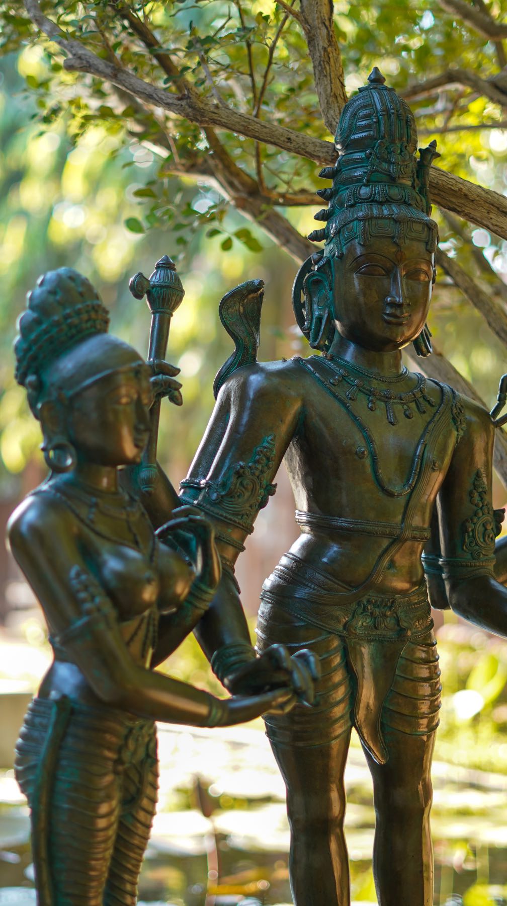 Home - Temple Tree Retreat