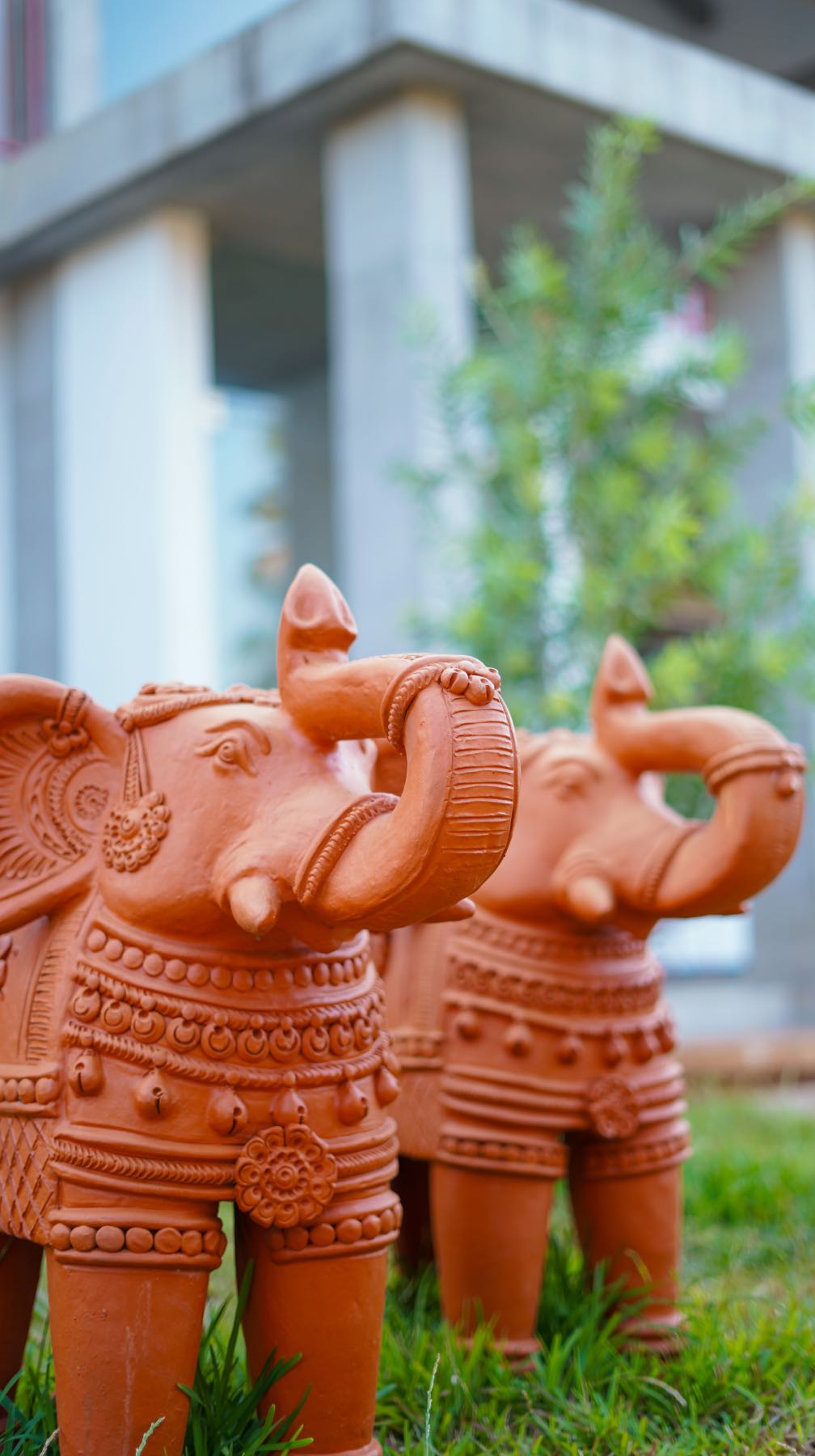 Home - Temple Tree Retreat